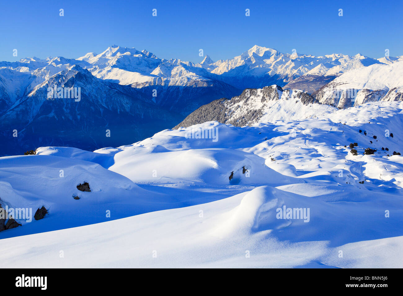 Aletsch Aletsch Gebiet Alpen Alpenpanorama Alphubel Ansicht Berg ...