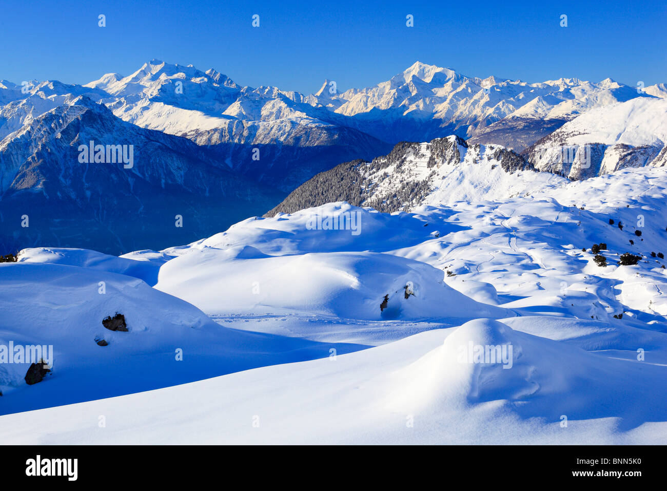 Aletsch Aletsch Gebiet Alpen Alpenpanorama Alphubel Ansicht Berg ...