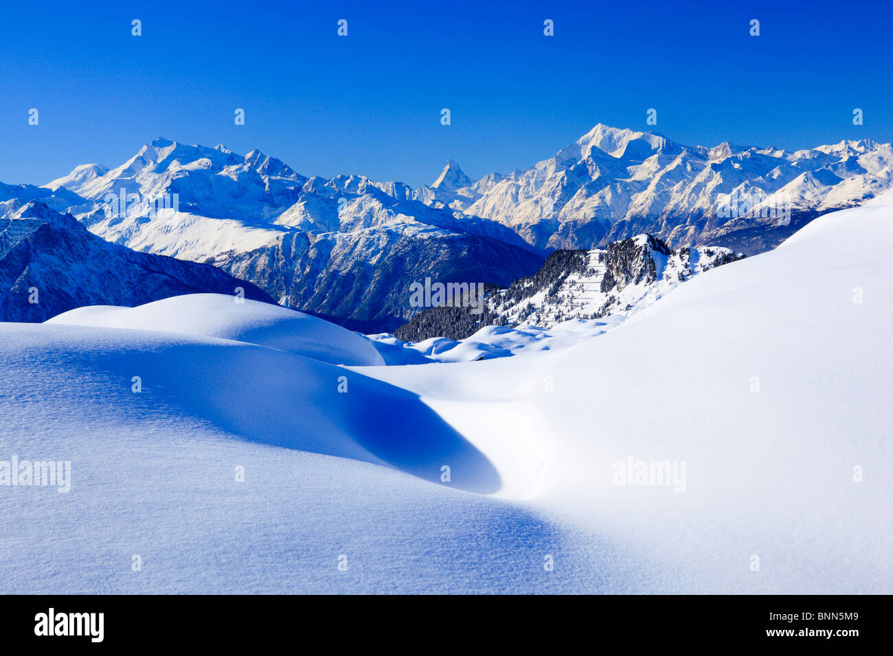 Aletsch Aletsch Gebiet Alpen Alpenpanorama Alphubel Ansicht Berg ...