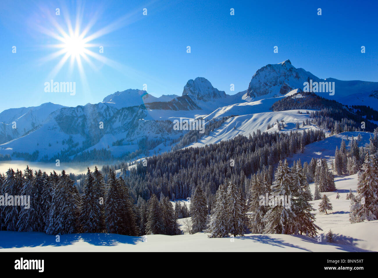 Alpen Alpen Alpen-Panorama Ansicht Baum Baum Grenze Berg Bergpanorama ...