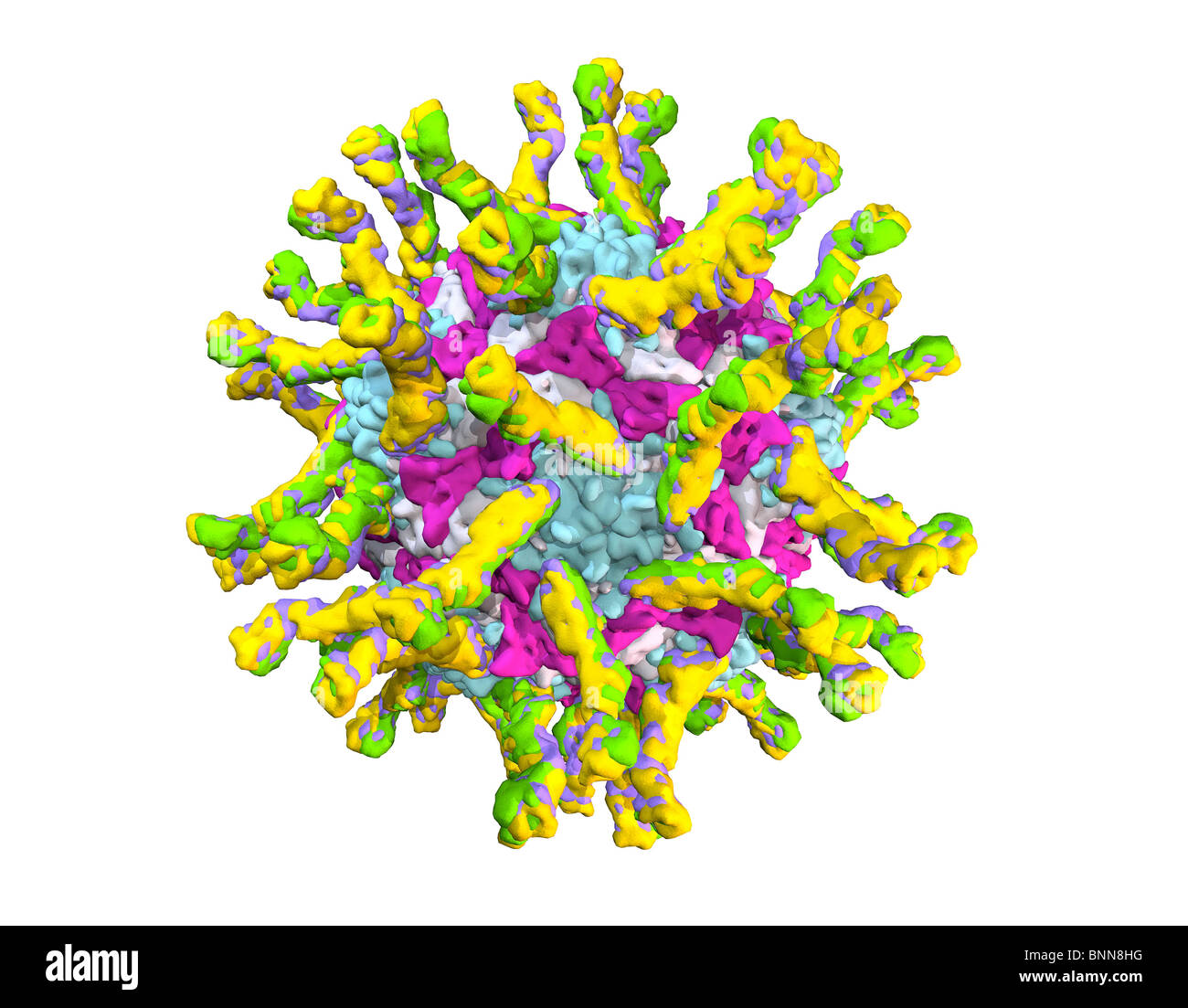 Polio epidemics -Fotos und -Bildmaterial in hoher Auflösung – Alamy