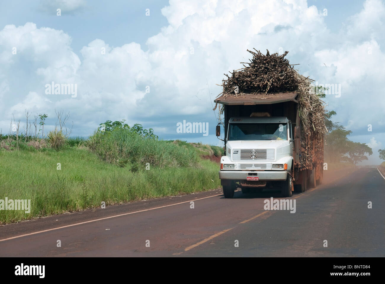 Transporting sugar cane -Fotos und -Bildmaterial in hoher Auflösung – Alamy