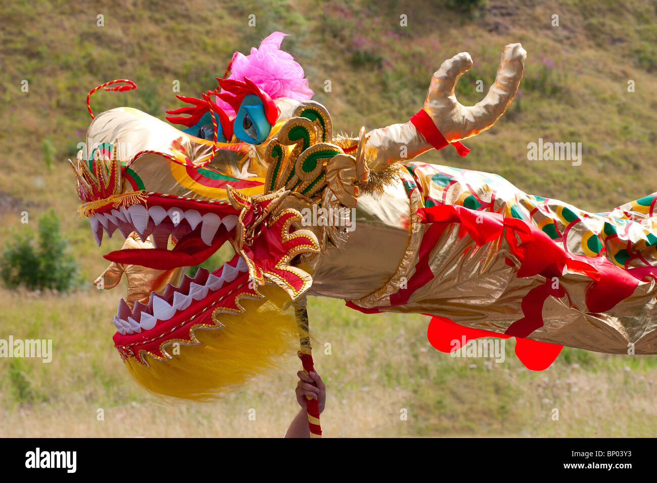 Karneval drache -Fotos und -Bildmaterial in hoher Auflösung – Alamy