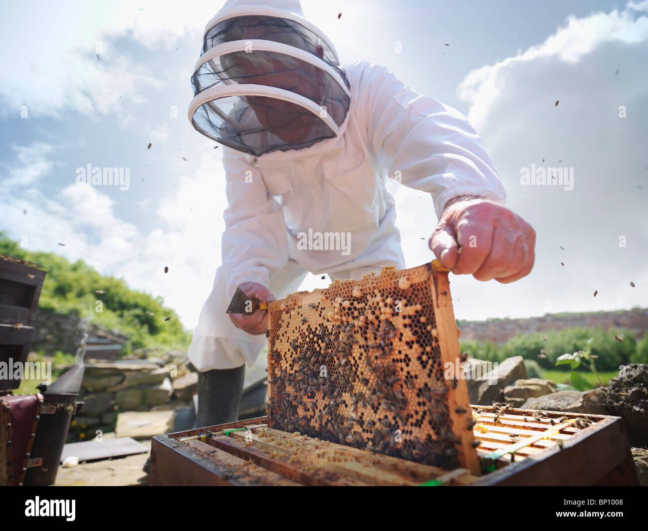 Der imker -Fotos und -Bildmaterial in hoher Auflösung – Alamy