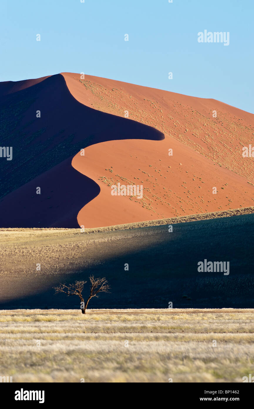 Roten Dünen im Sossusvlei in Namibia Naukluft Park zentrale Namibwüste ...