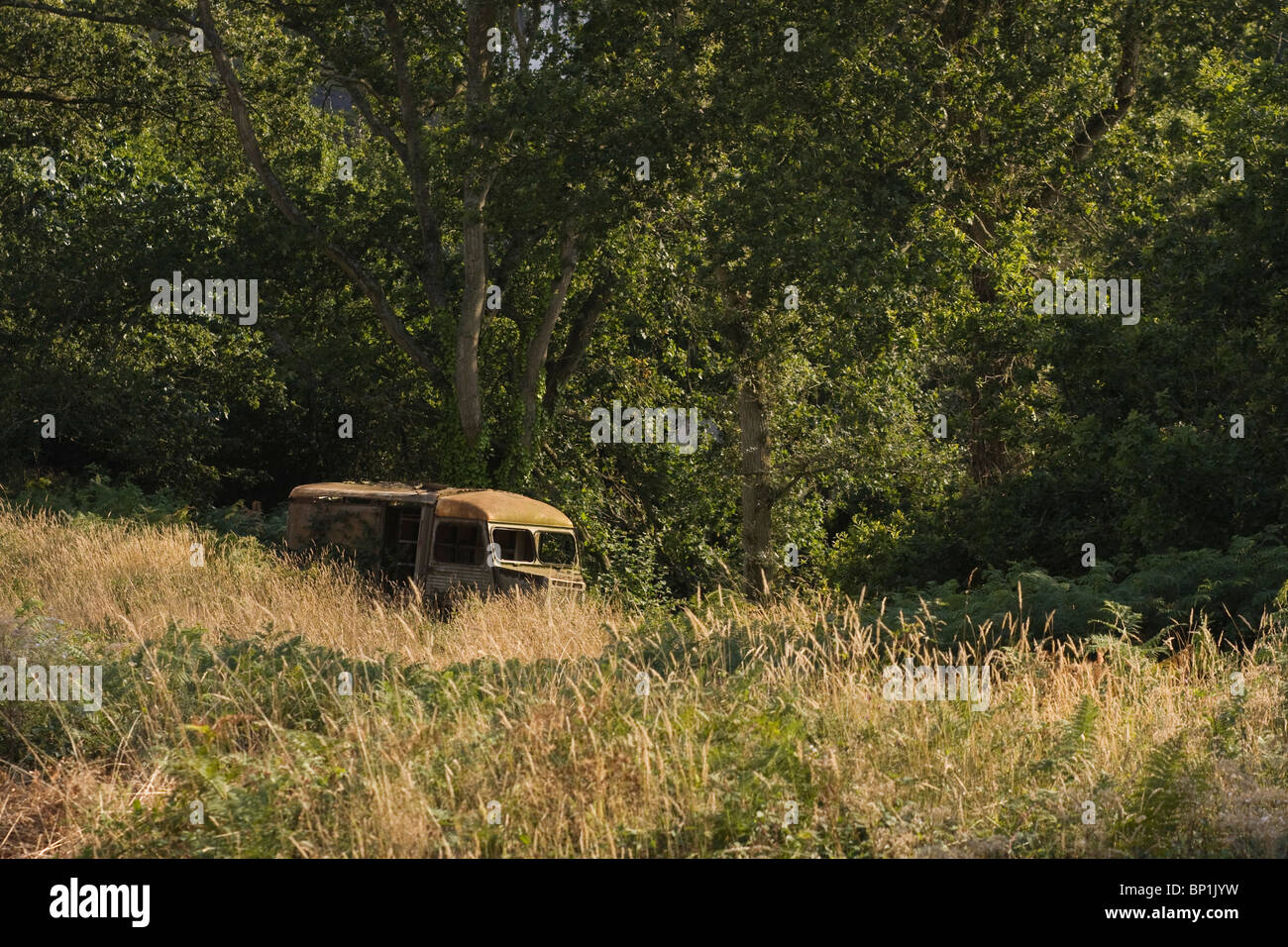 Car wrack -Fotos und -Bildmaterial in hoher Auflösung – Alamy