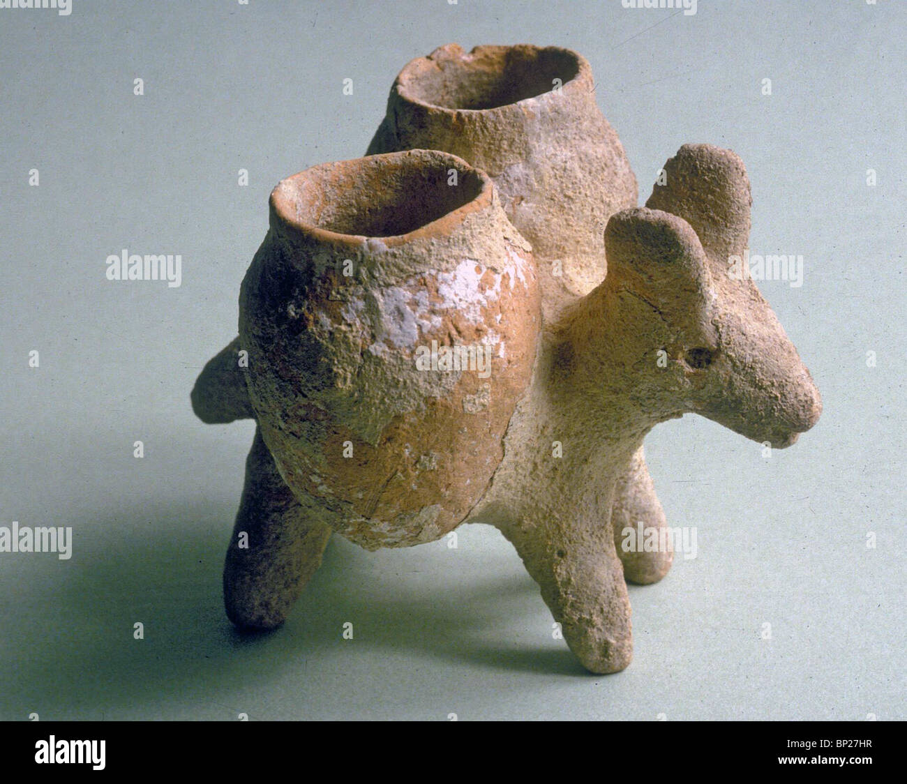 Esel esel -Fotos und -Bildmaterial in hoher Auflösung – Alamy