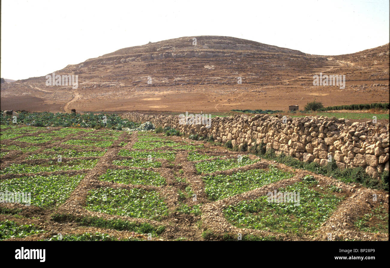 Tel debir -Fotos und -Bildmaterial in hoher Auflösung – Alamy