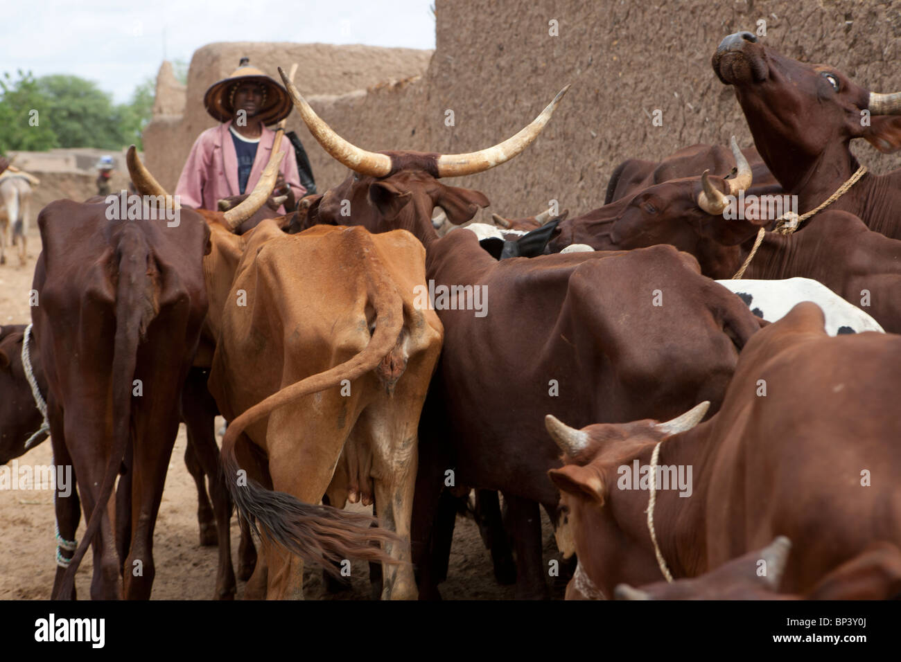 GUIDAN IDER Markt, in der Nähe von KONNI, NIGER, 27. Juli: unverkaufte ...