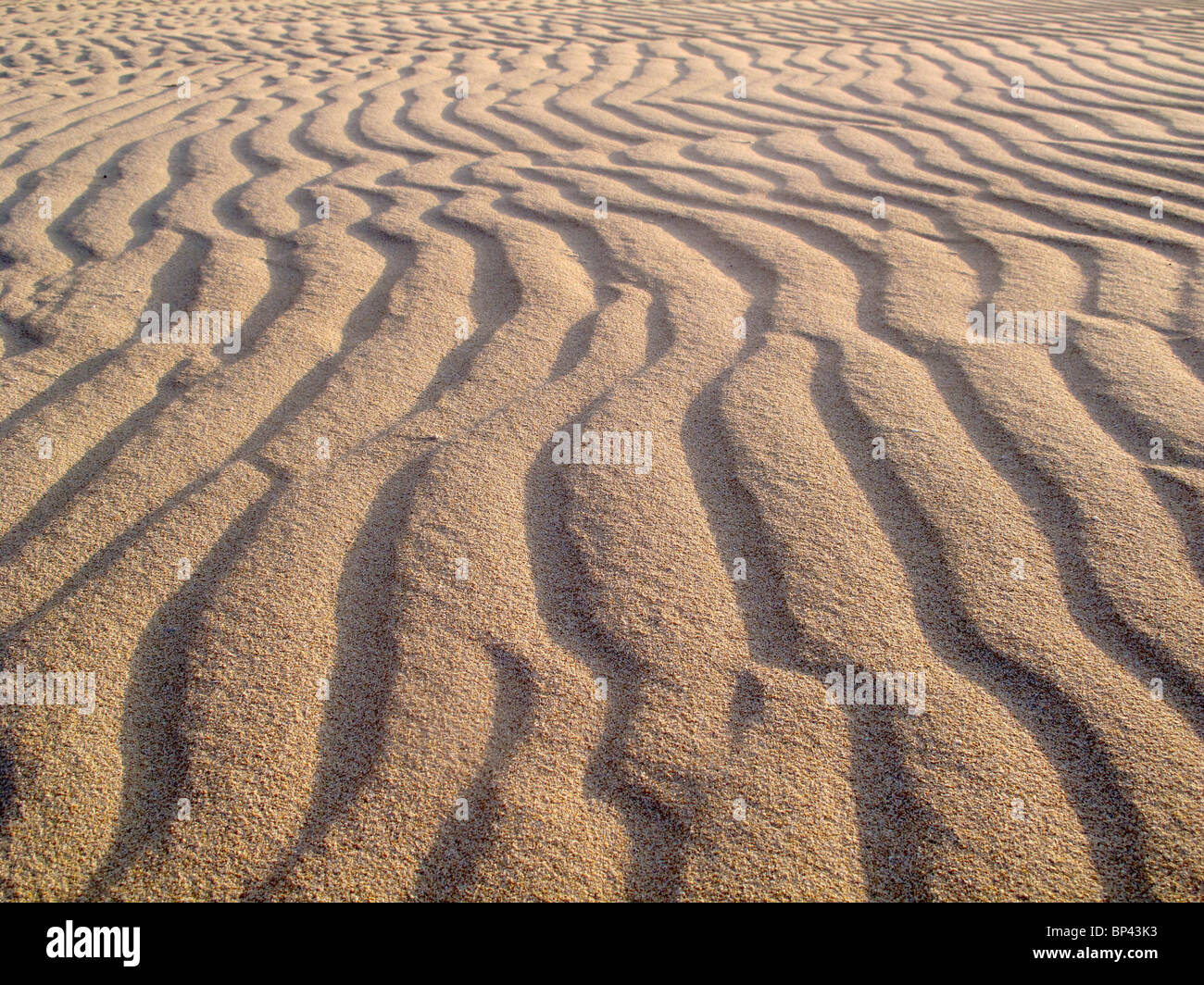 Am strand mit windgeblasenem sand -Fotos und -Bildmaterial in hoher ...