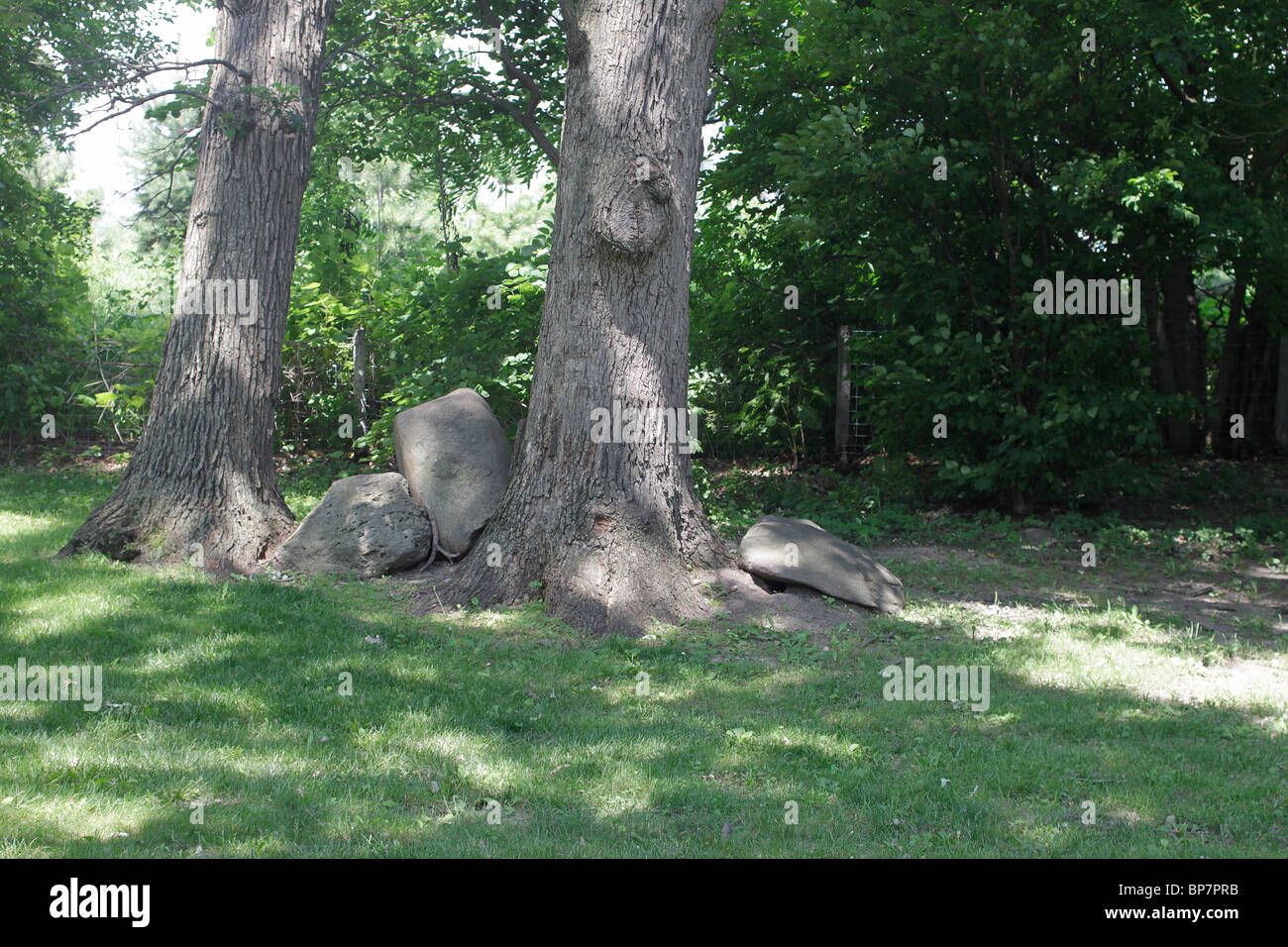 Gletscher findlinge -Fotos und -Bildmaterial in hoher Auflösung – Alamy