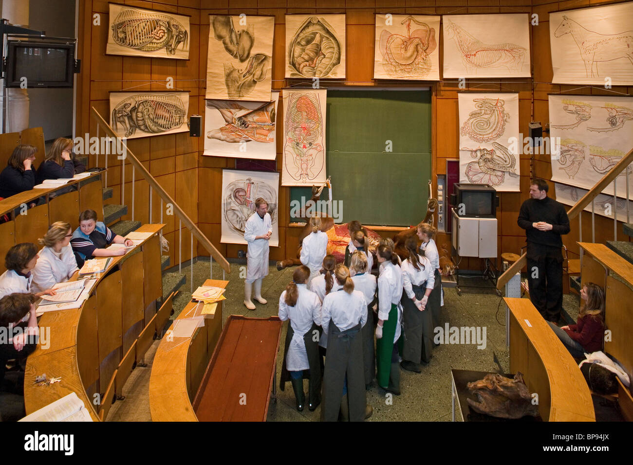 Anatomie-Lektion an der Veterinärmedizinischen Universität, TiHo ...