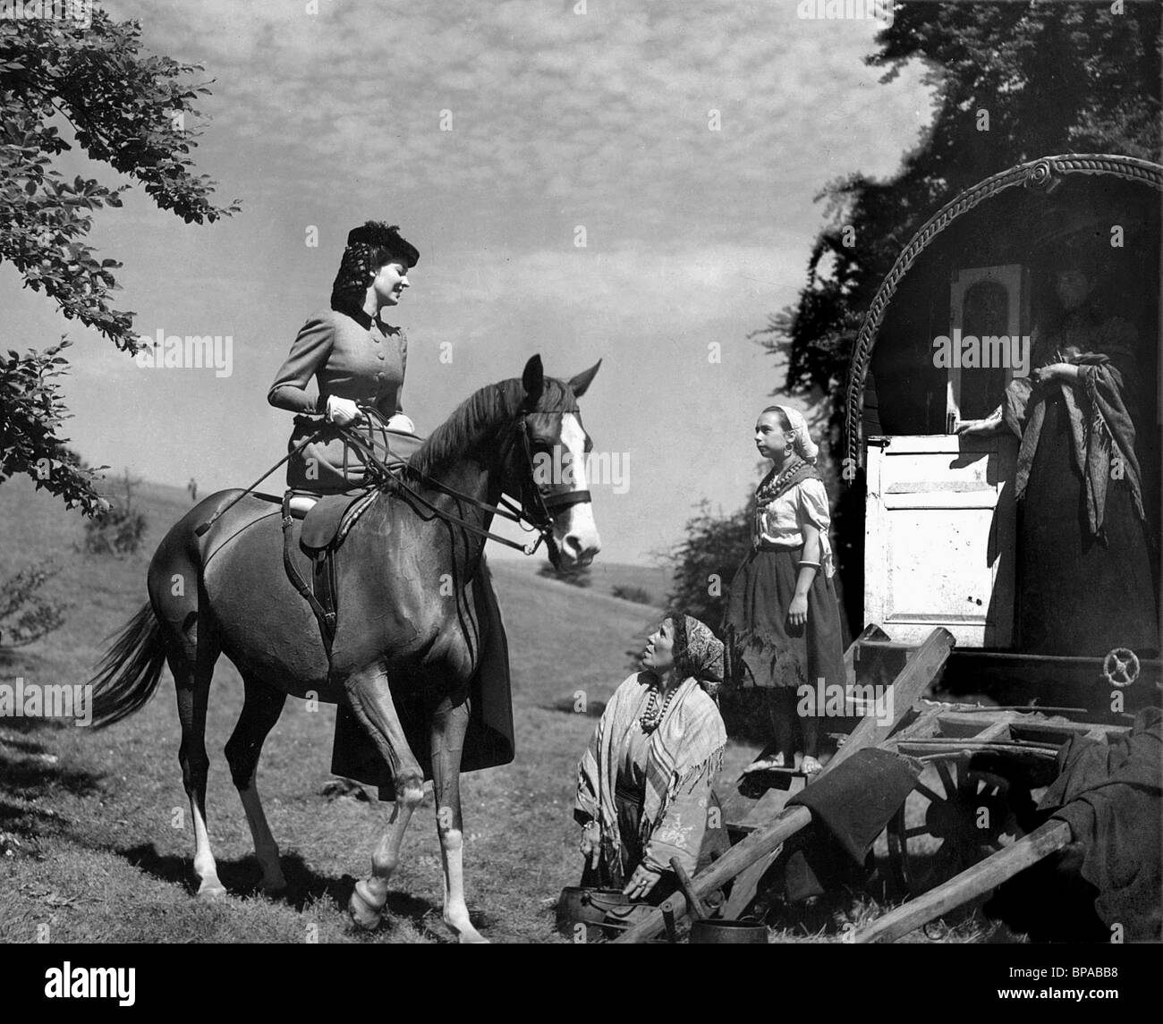 Valerie pferd -Fotos und -Bildmaterial in hoher Auflösung – Alamy