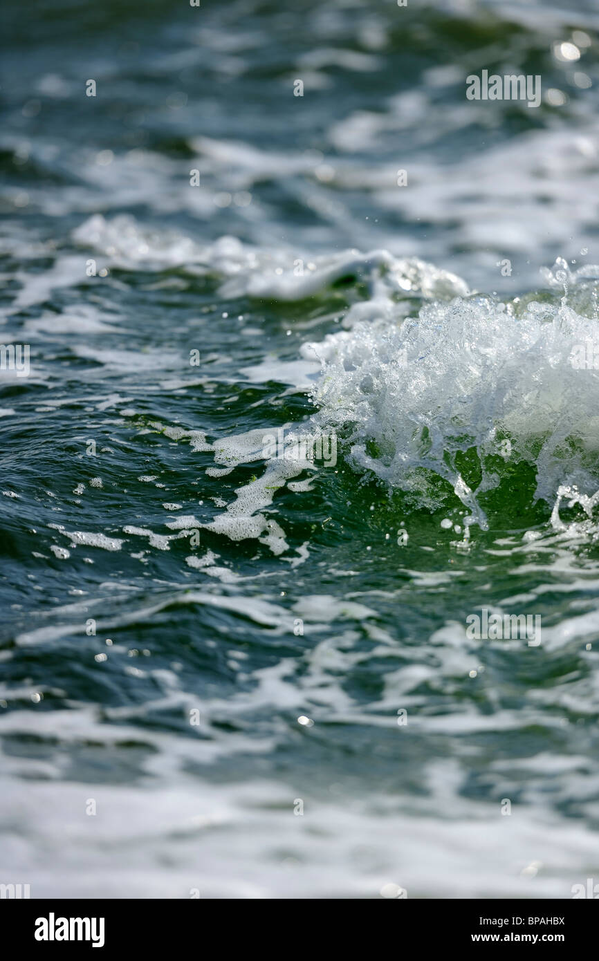 Making waves -Fotos und -Bildmaterial in hoher Auflösung – Alamy