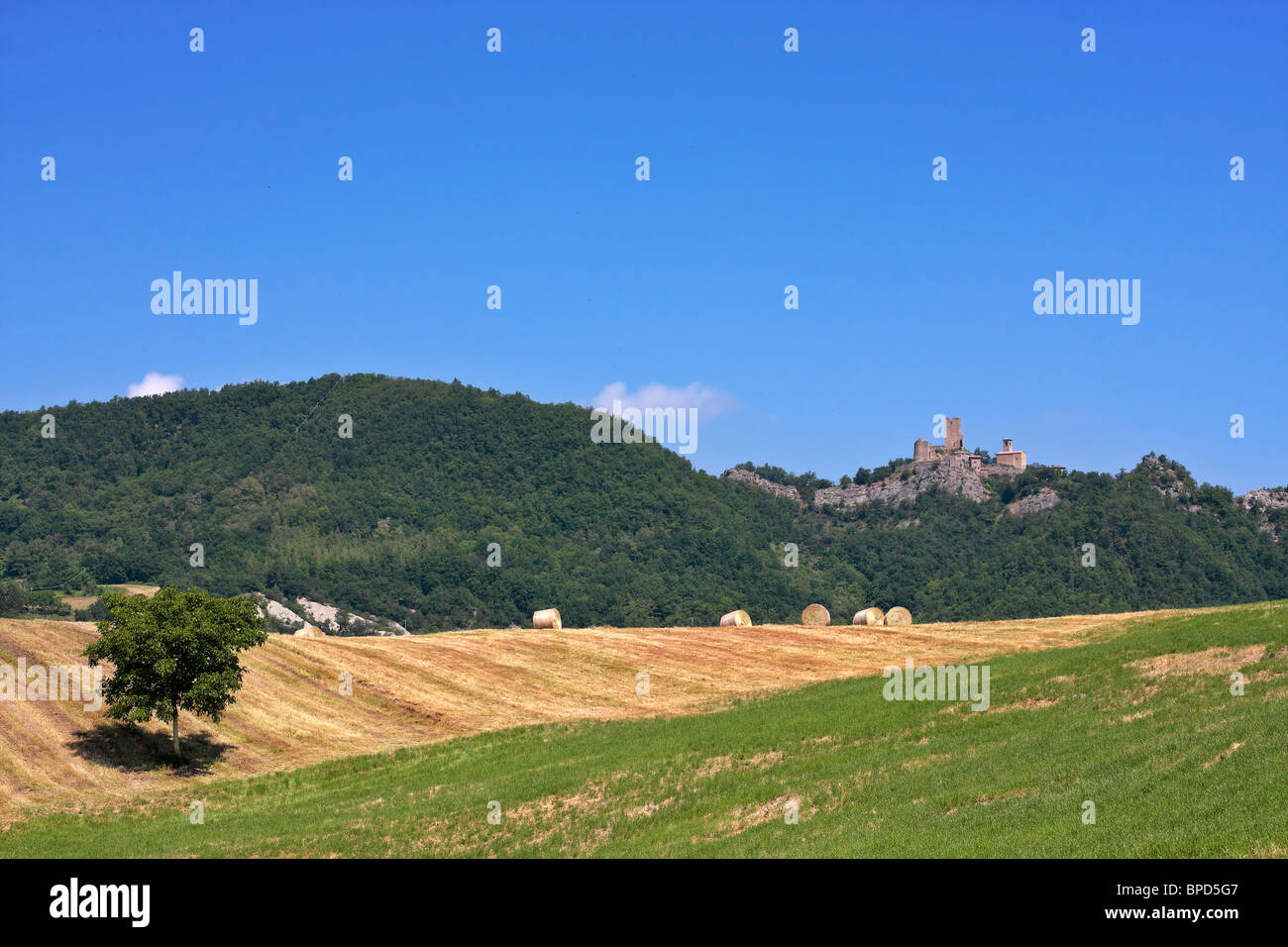 Schloss der canossa burg -Fotos und -Bildmaterial in hoher Auflösung ...