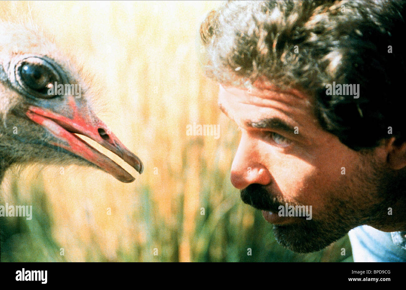 Hans Strydom Stockfotos und -bilder Kaufen - Alamy