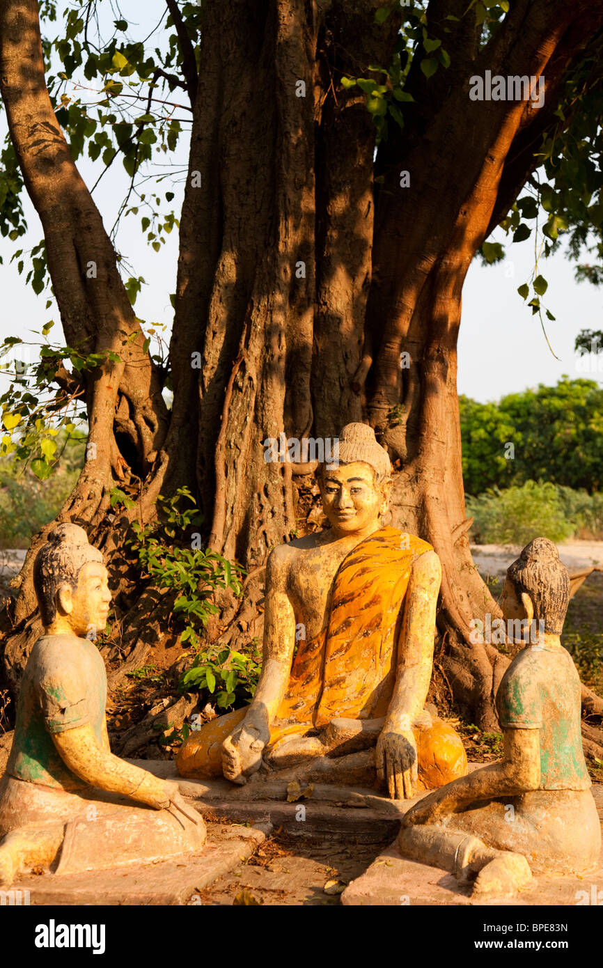 Gautama buddha bodhi tree -Fotos und -Bildmaterial in hoher Auflösung ...