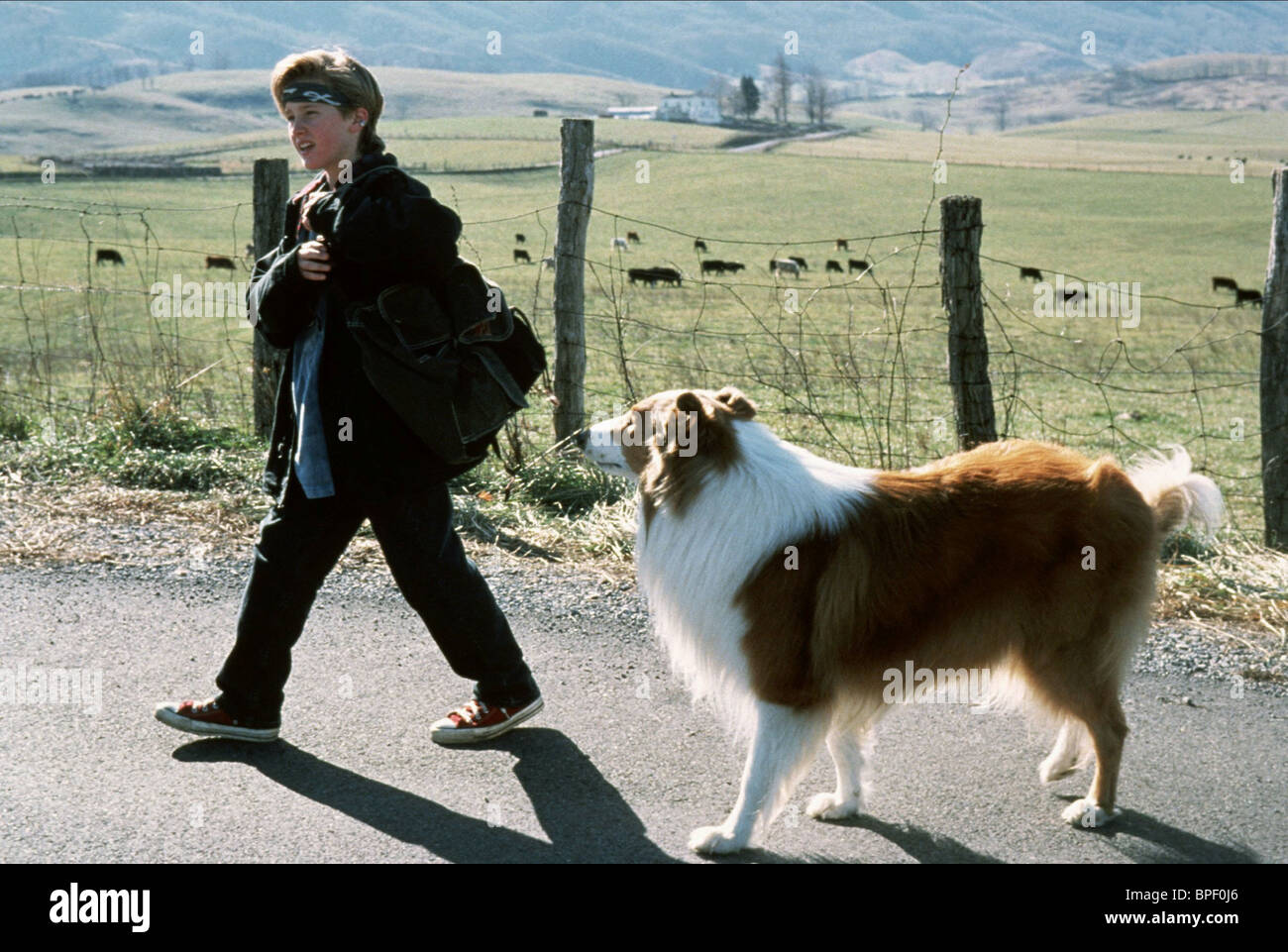 Lassie 1994 Thomas Guiry Stockfotos und -bilder Kaufen - Alamy