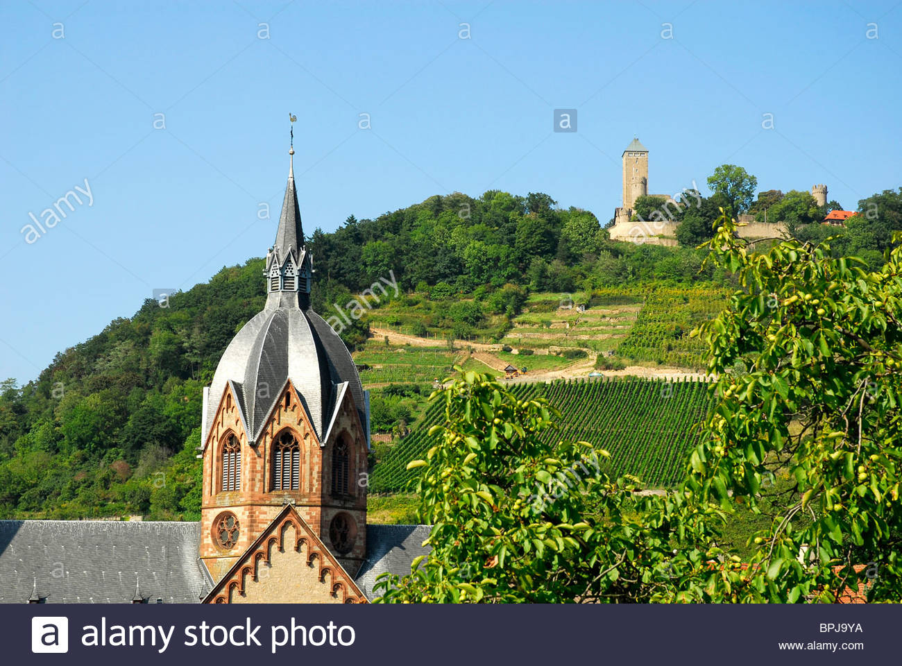 Starkenburg Stockfotos & Starkenburg Bilder - Alamy