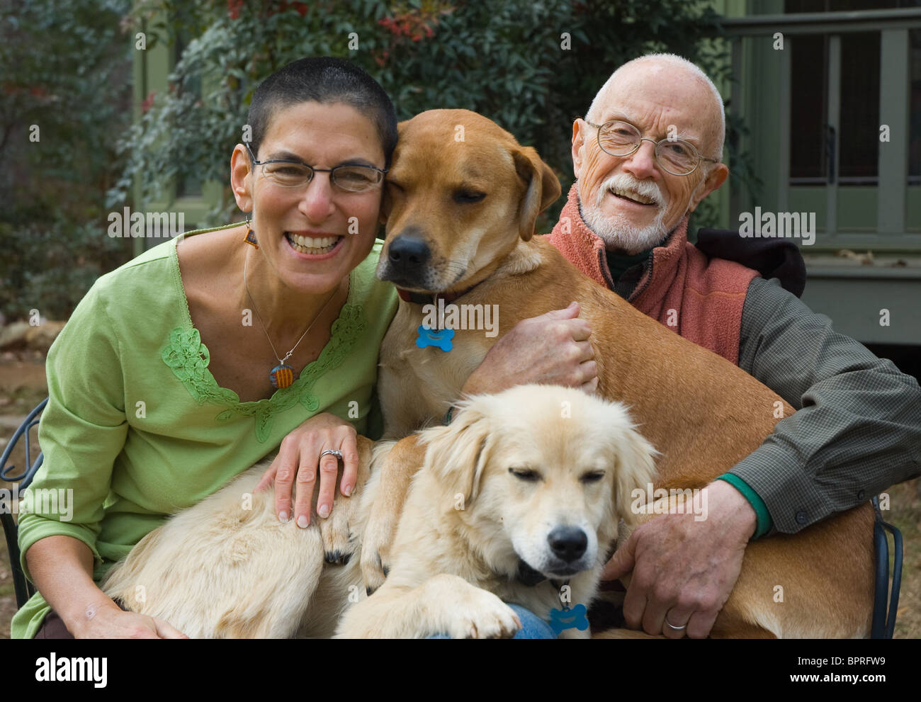 Carolina hunde -Fotos und -Bildmaterial in hoher Auflösung – Alamy