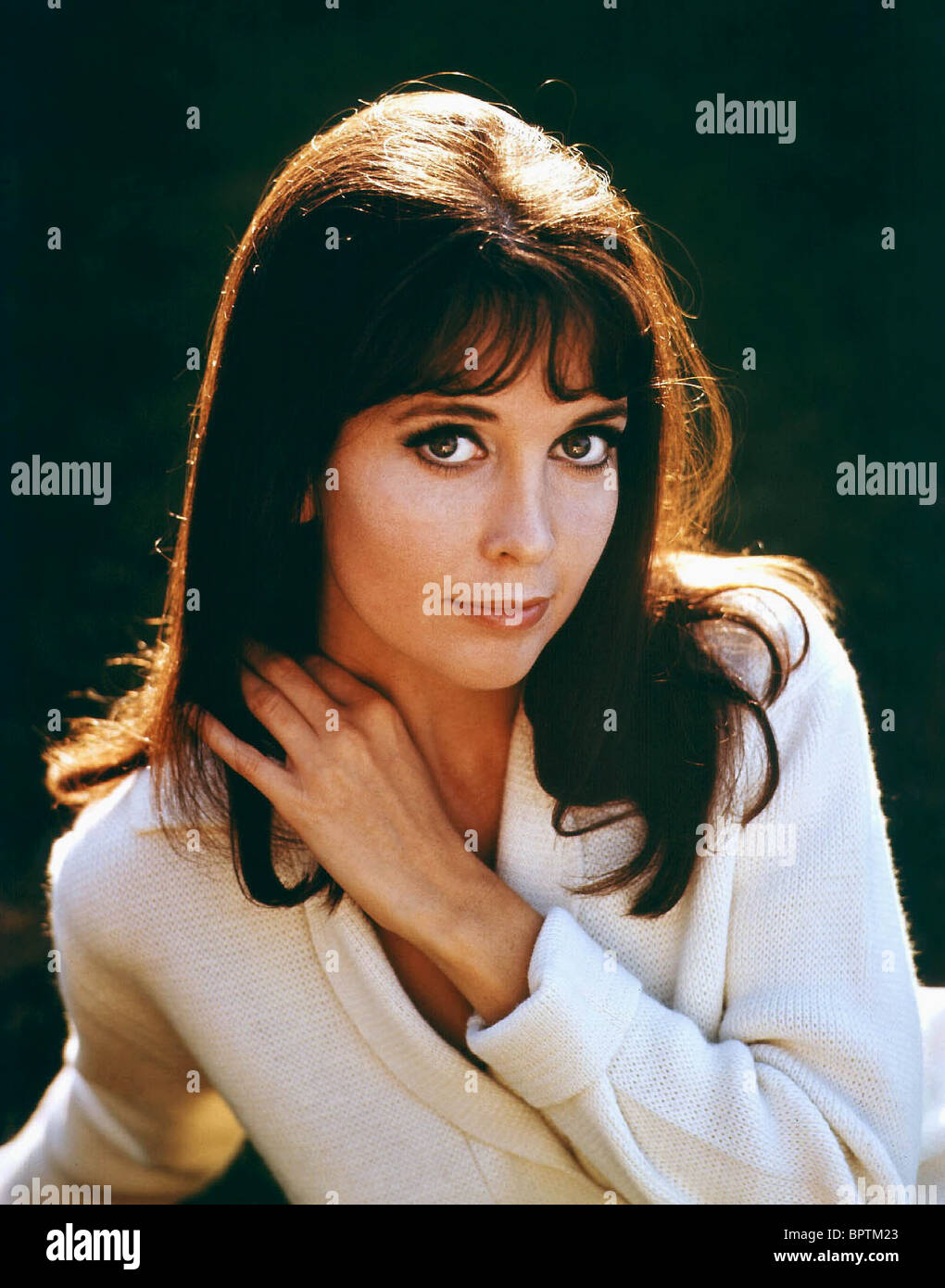 ANJANETTE COMER SCHAUSPIELERIN (1977 Stockfotografie - Alamy