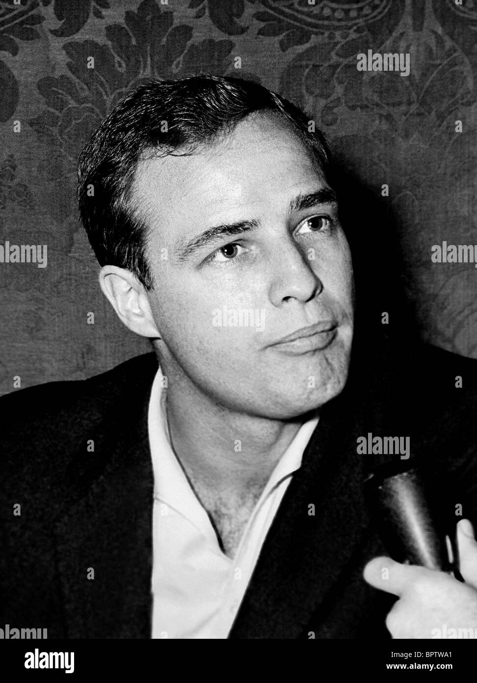 Marlon brando portrait -Fotos und -Bildmaterial in hoher Auflösung – Alamy
