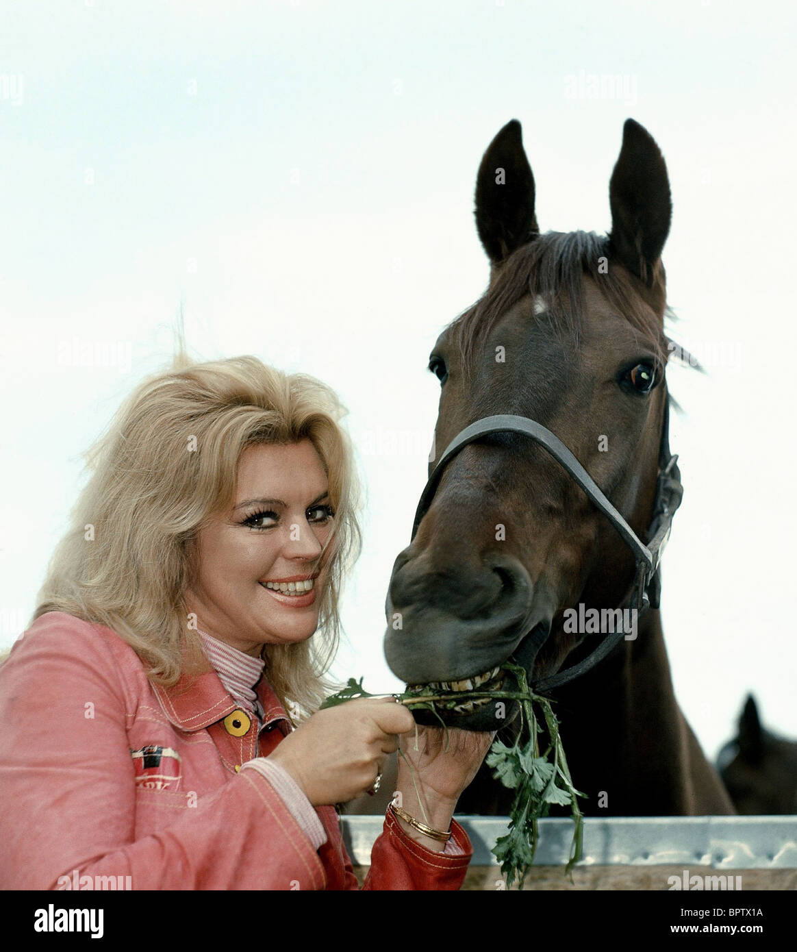 CHRISTIANE MAYBACH & PFERD SCHAUSPIELERIN (1972 Stockfotografie - Alamy