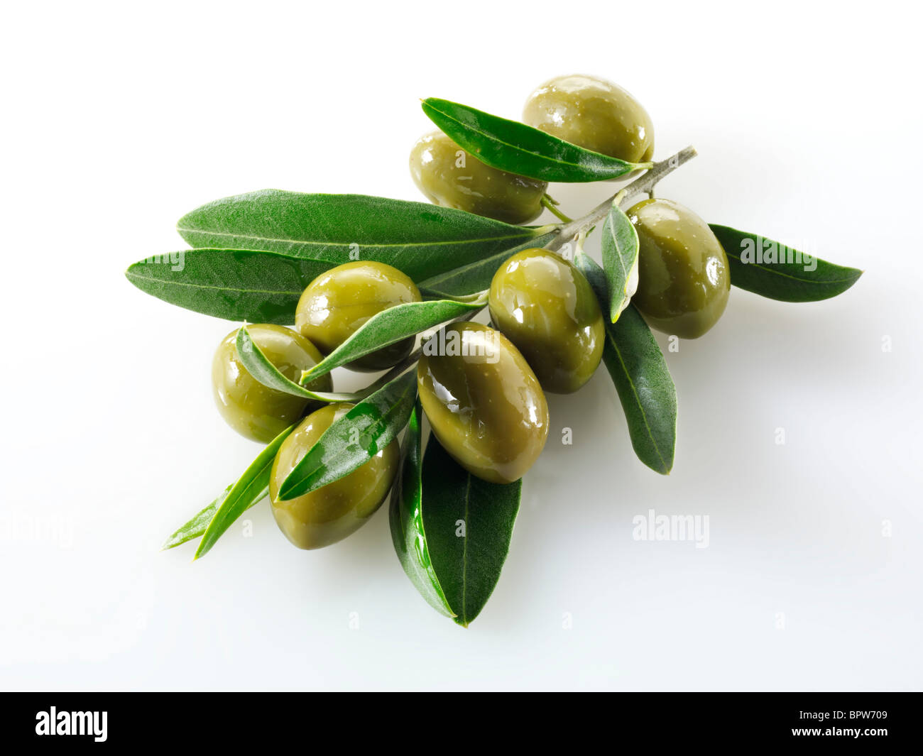 Frische olive -Fotos und -Bildmaterial in hoher Auflösung – Alamy