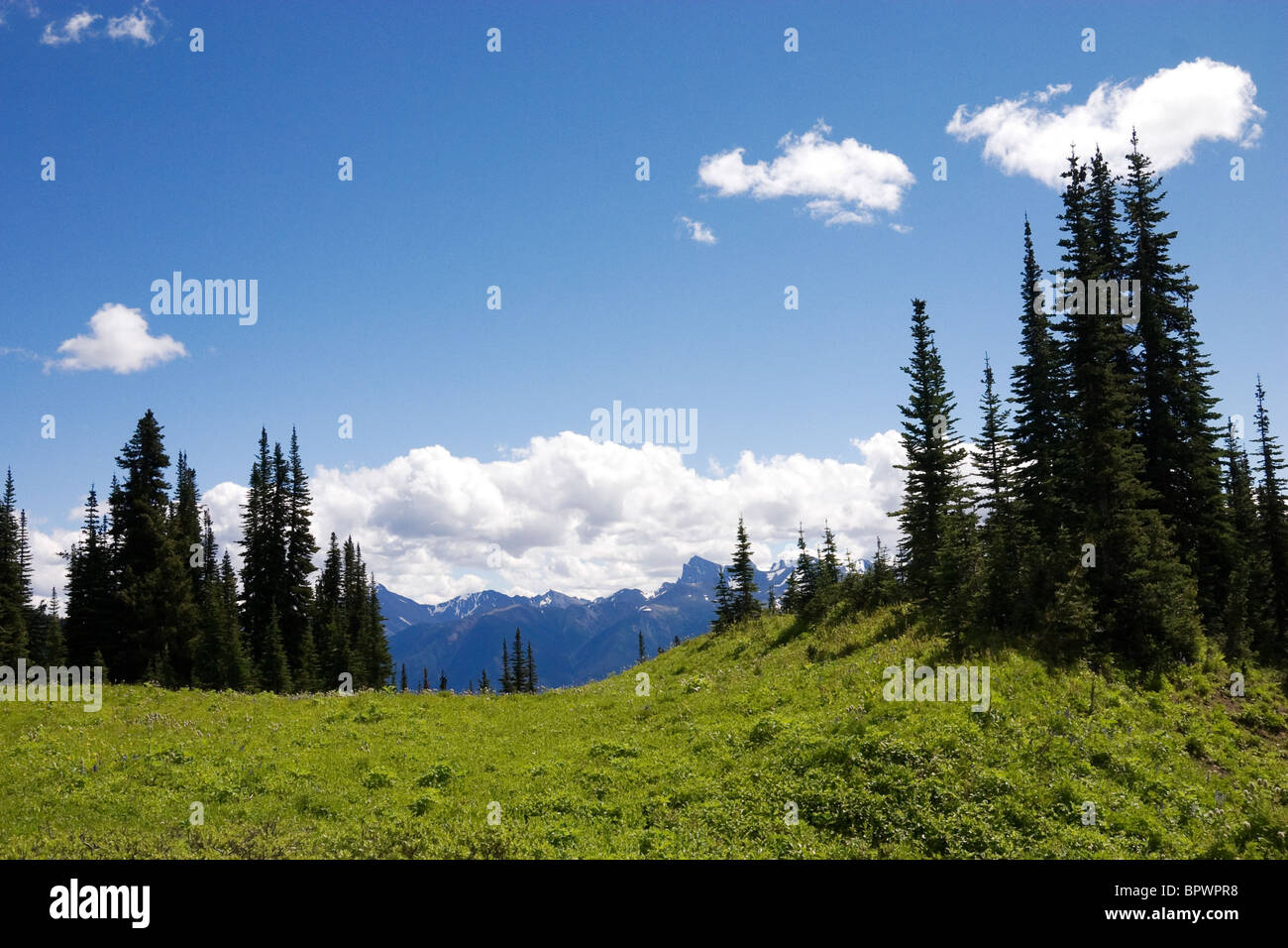 South Chilcotin Mountains in British Columbia Stockfotografie - Alamy