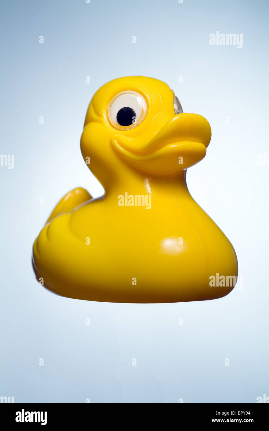 Quiekende ente -Fotos und -Bildmaterial in hoher Auflösung – Alamy