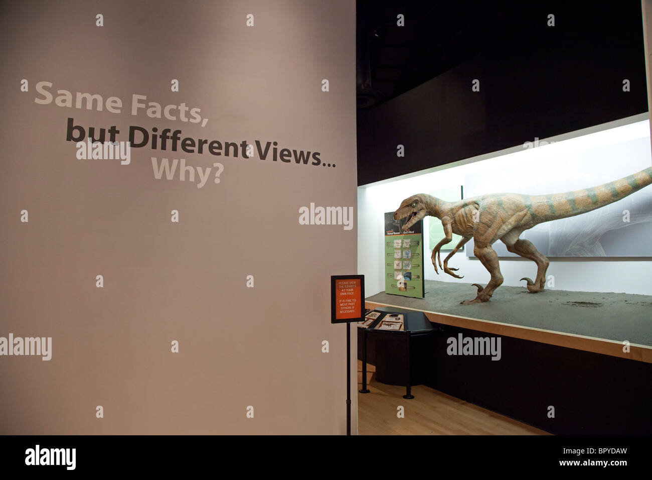 Dinosaur exhibit creation museum in -Fotos und -Bildmaterial in hoher Auflösung – Alamy