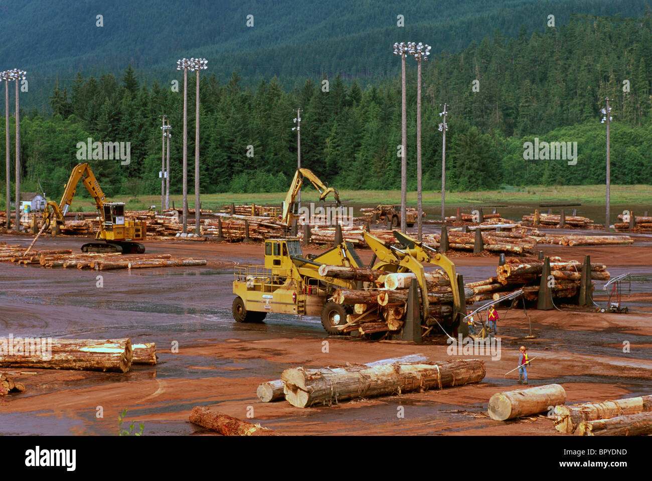 Biber Cove Art Rundholzplatz in der Nähe von Telegraph Cove, BC ...