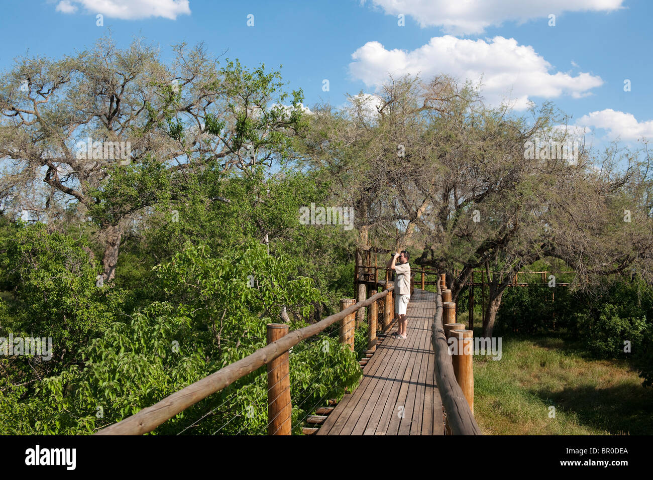 Mapungubwe nationalpark -Fotos und -Bildmaterial in hoher Auflösung – Alamy