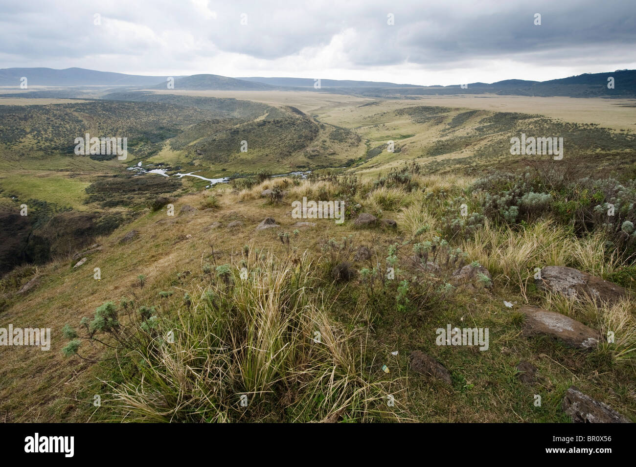 Olmoti Krater Ngorongoro Conservation Area, Tansania Stockfotografie ...