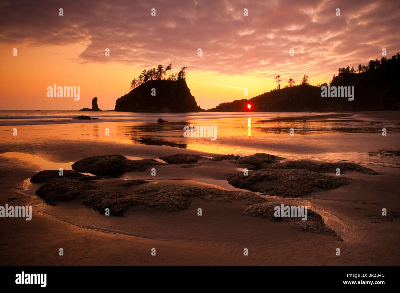 Olympic national park -Fotos und -Bildmaterial in hoher Auflösung – Alamy