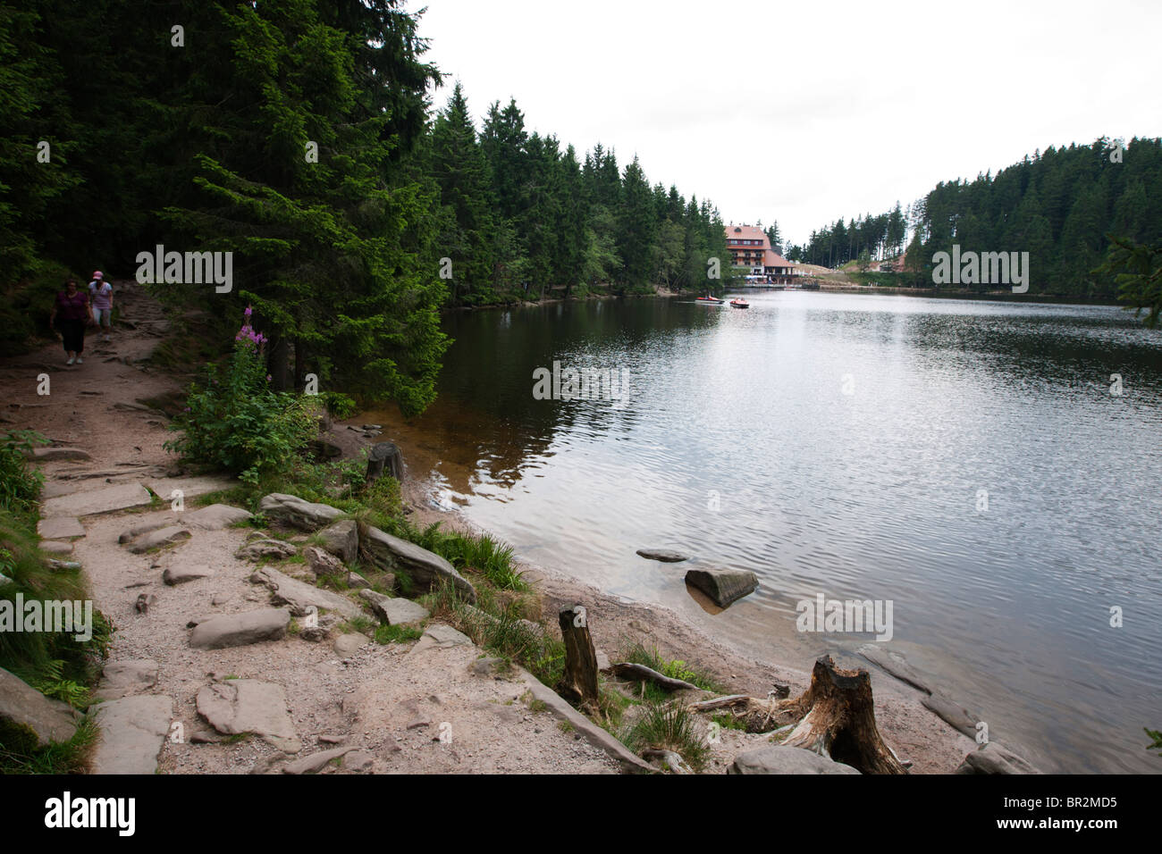 Mummelsee Nordschwarzwald Deutschland Stockfotografie - Alamy