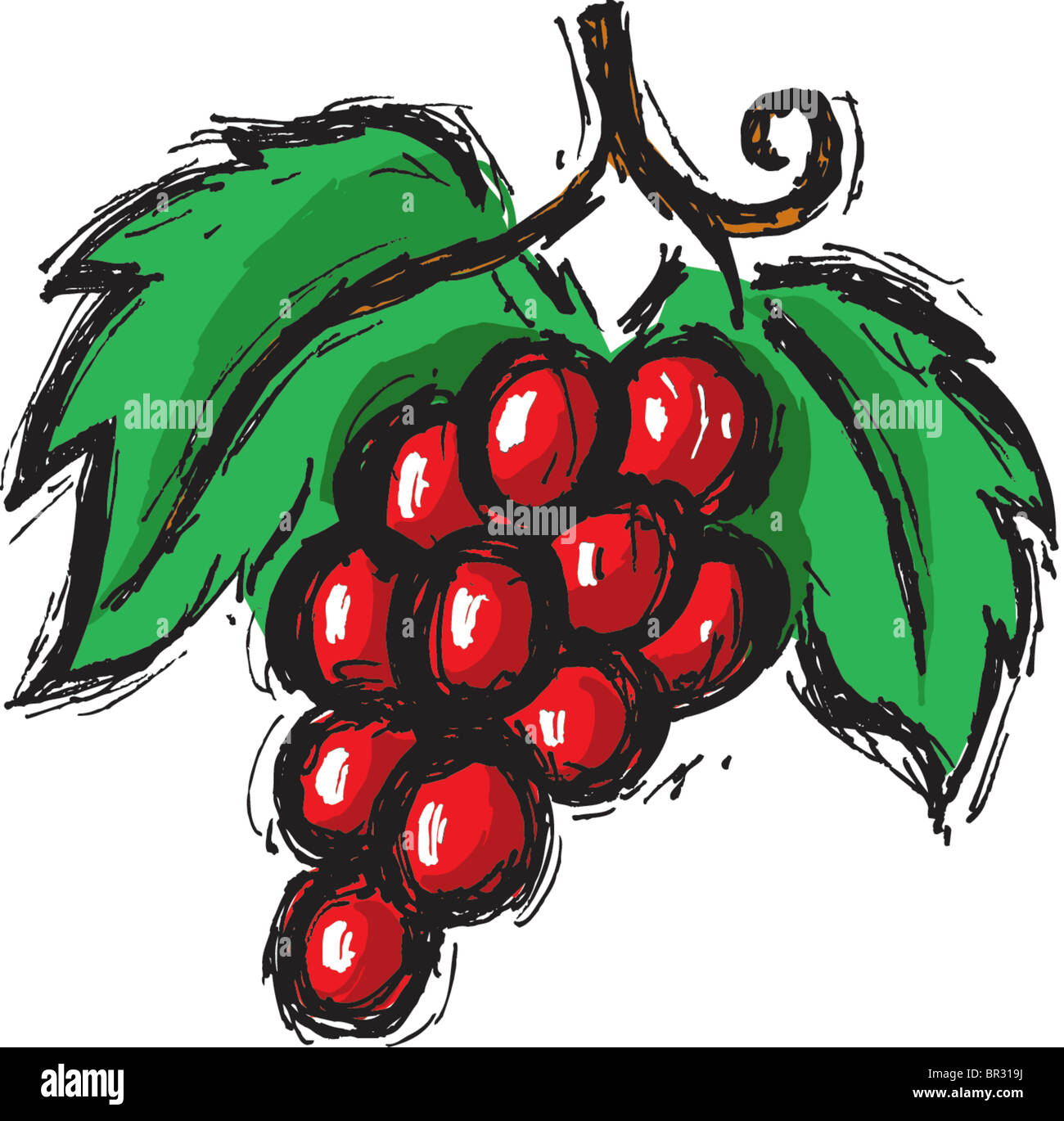 Graphics Grapes Stockfotos & Graphics Grapes Bilder - Alamy