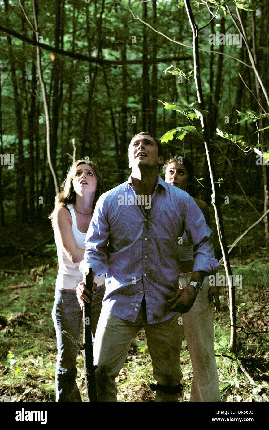 Wrong Turn 2003 Eliza Dushku Stockfotos und -bilder Kaufen - Seite 2 ...