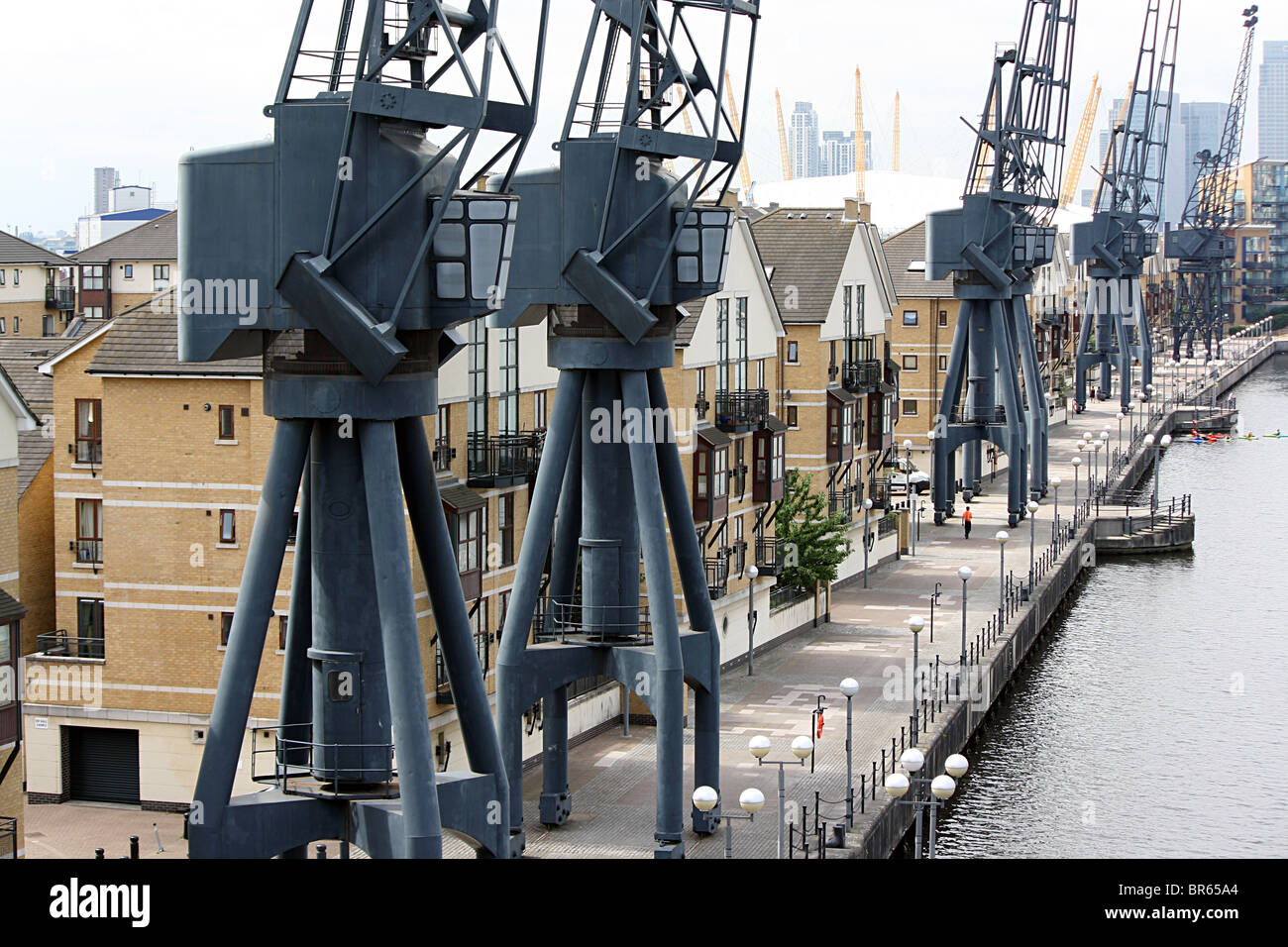 Preserved cranes -Fotos und -Bildmaterial in hoher Auflösung – Alamy