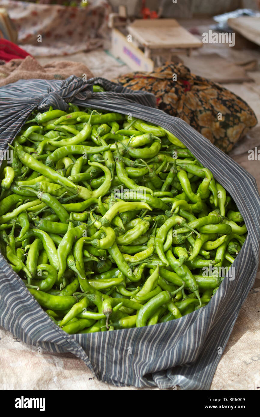 Grüne chilis -Fotos und -Bildmaterial in hoher Auflösung – Alamy