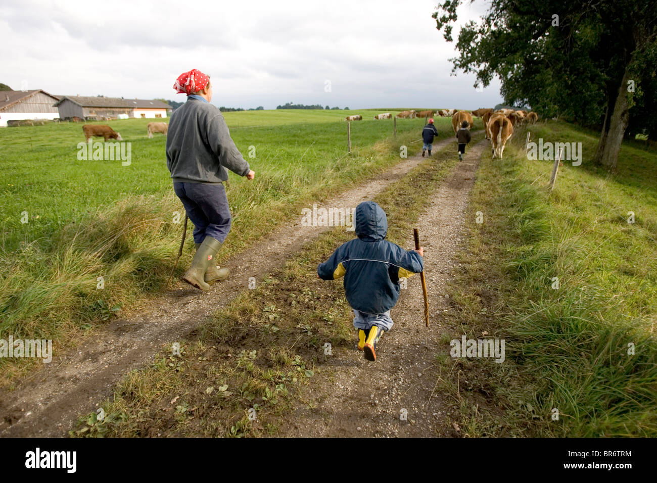 Kinder helfen auf einem bauernhof -Fotos und -Bildmaterial in hoher Auflösung – Alamy