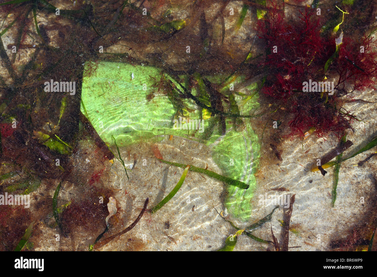 Junk boot -Fotos und -Bildmaterial in hoher Auflösung – Alamy