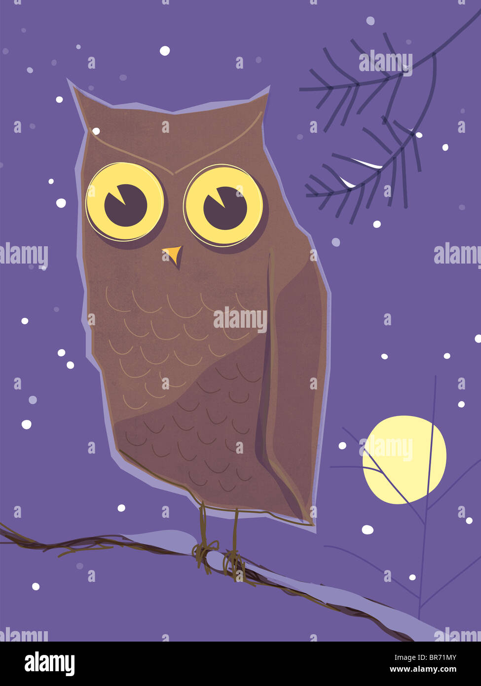 Eule eule ein stern -Fotos und -Bildmaterial in hoher Auflösung – Alamy