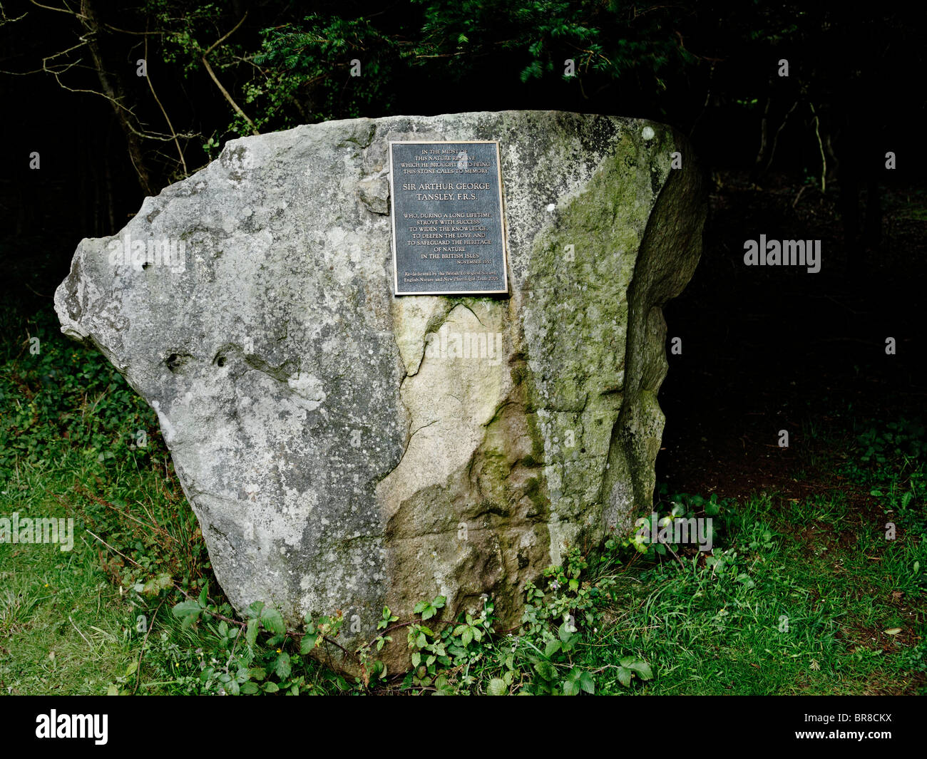 Arthur tansley -Fotos und -Bildmaterial in hoher Auflösung – Alamy