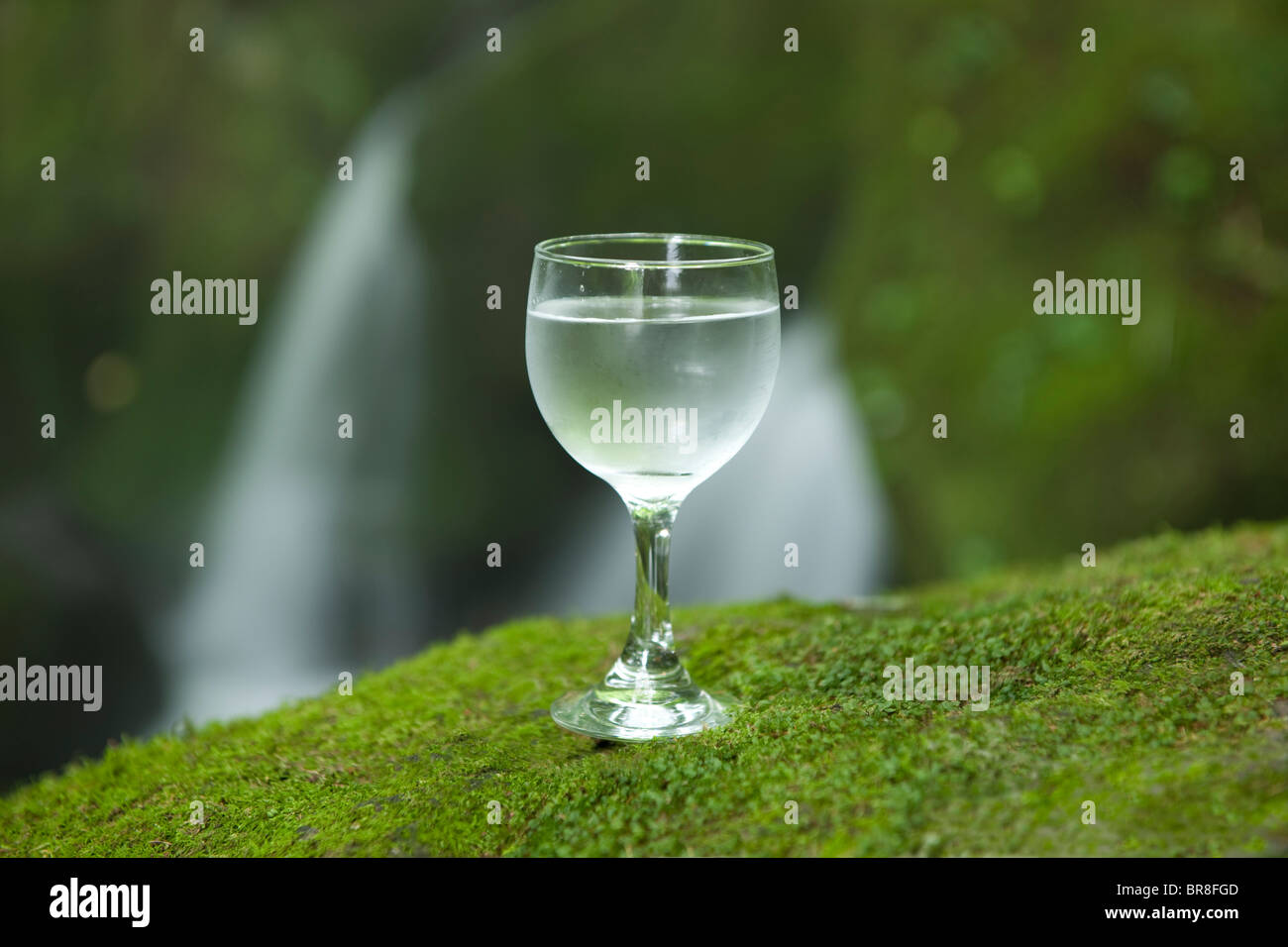 Moos auf dem wasser -Fotos und -Bildmaterial in hoher Auflösung – Alamy