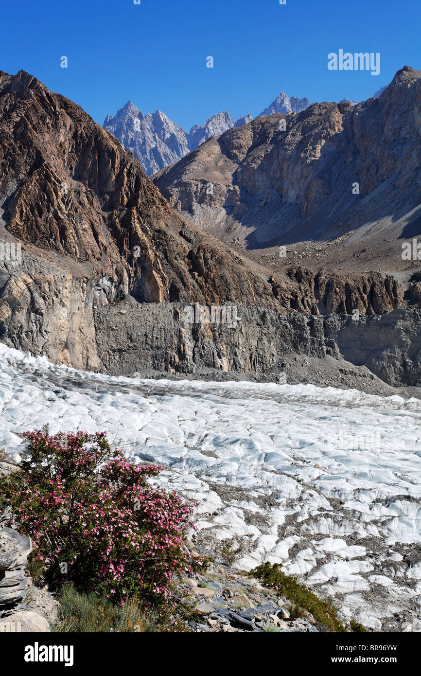 Passu Gletscher, Hunza-Tal, Karakorum, Pakistan Stockfotografie - Alamy