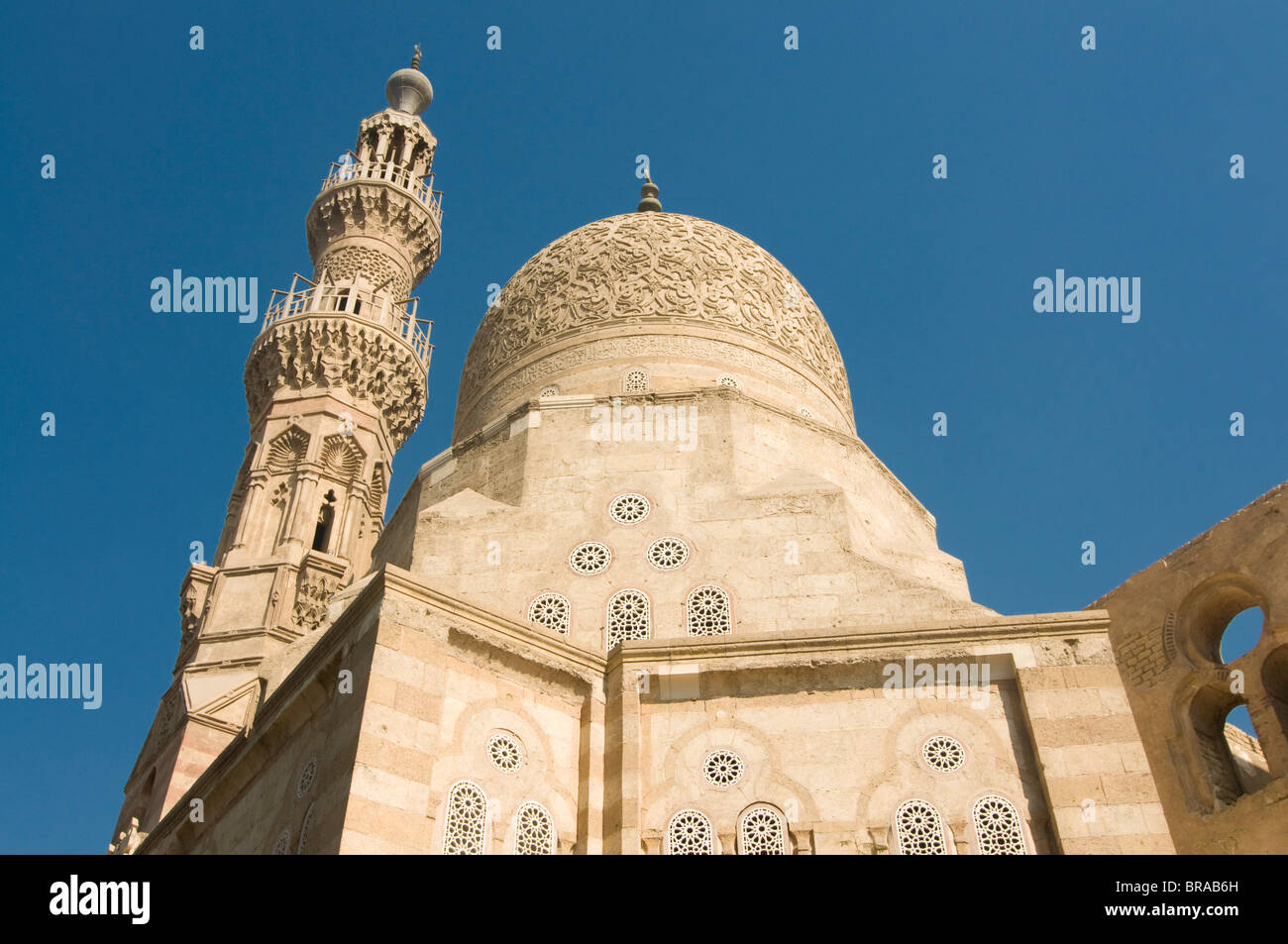 Pasha of egypt -Fotos und -Bildmaterial in hoher Auflösung – Alamy