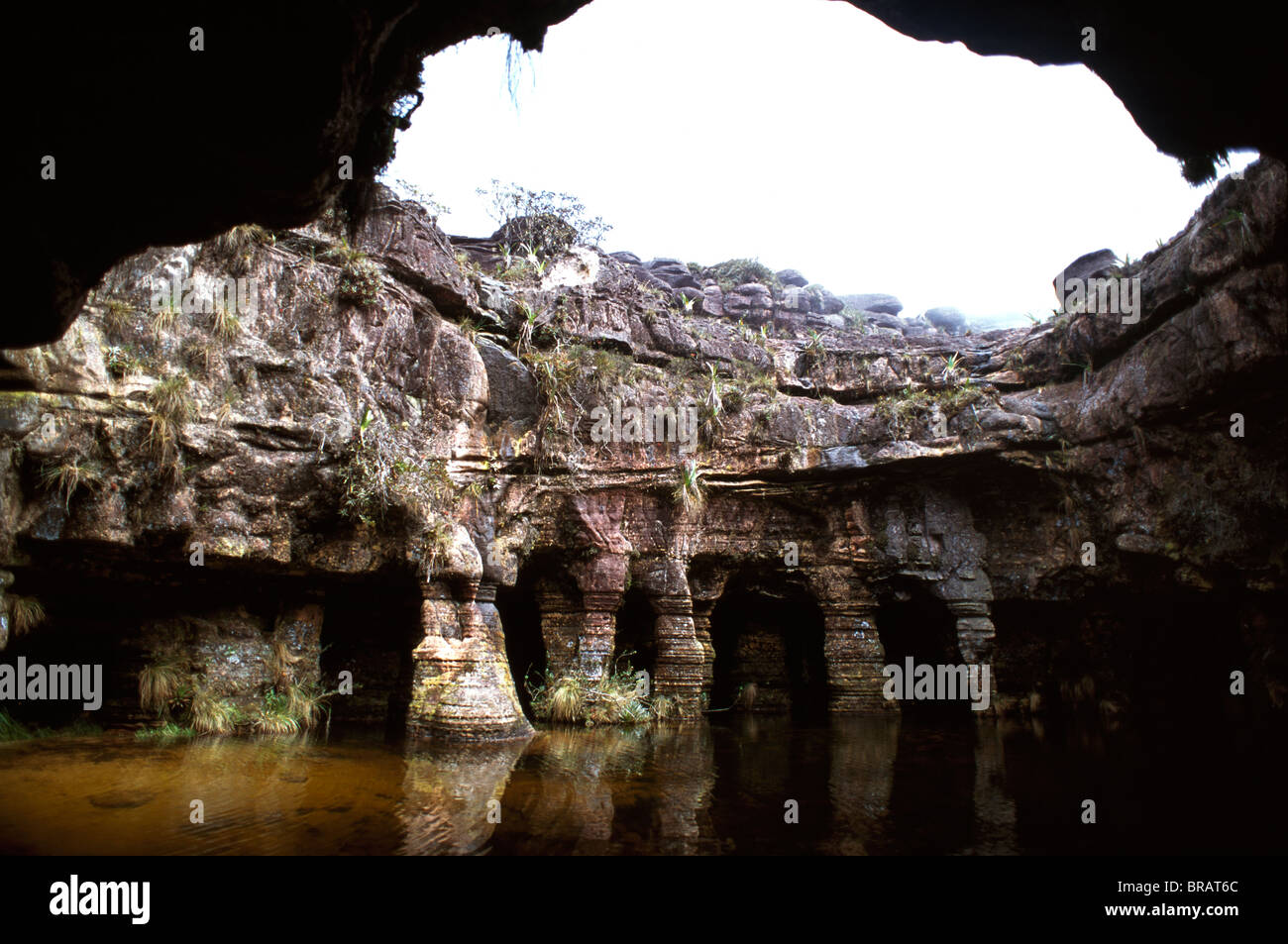 Cerro roraima -Fotos und -Bildmaterial in hoher Auflösung – Alamy