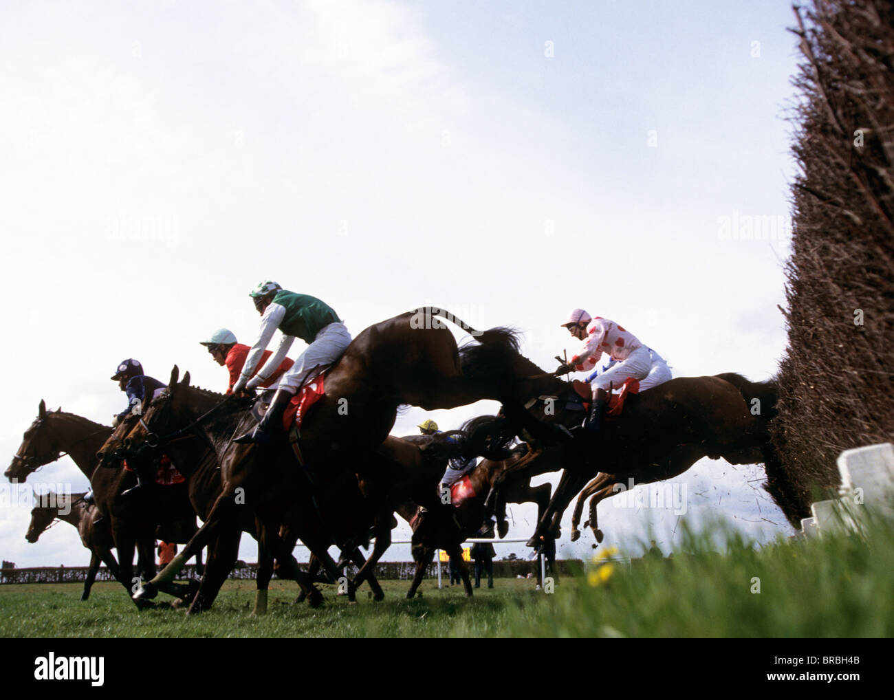 Rennpferde springen -Fotos und -Bildmaterial in hoher Auflösung – Alamy