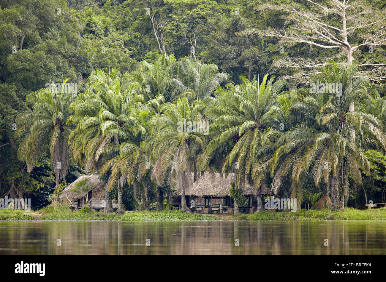 Dorf am Sangha-Fluss, Republik Kongo, Afrika Stockfotografie - Alamy